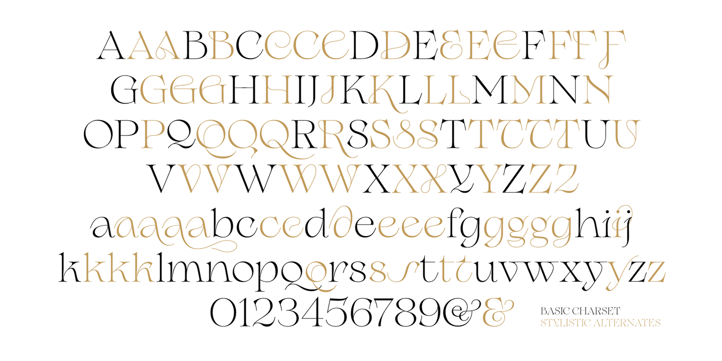 Popular Zetafonts Typefaces
