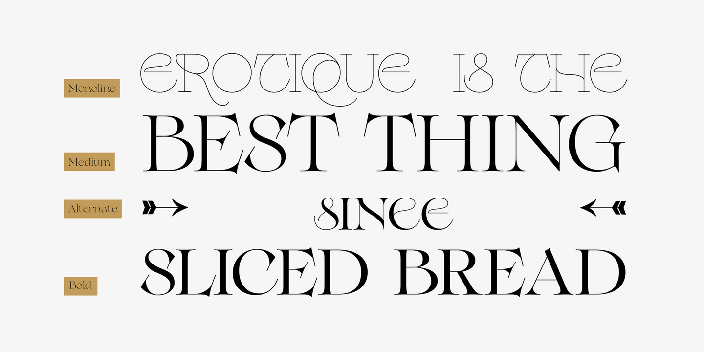 Popular Zetafonts Typefaces